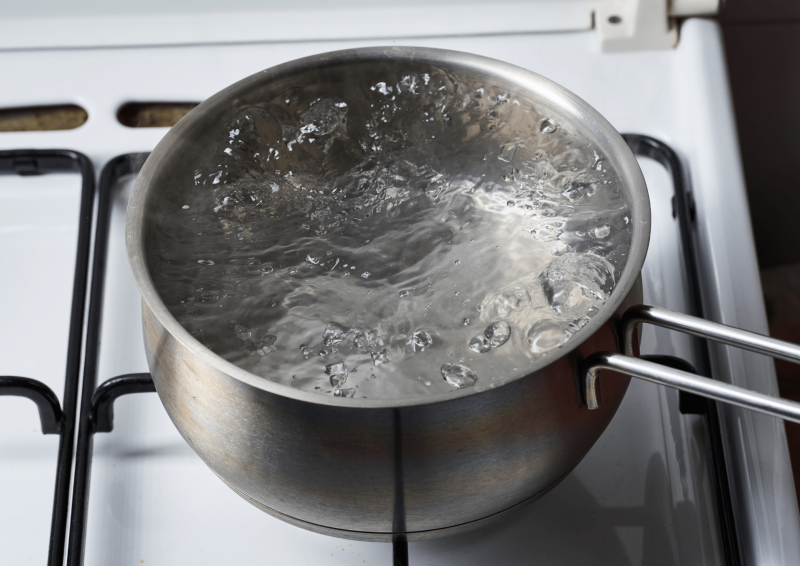 How To Get Rid Of Flies In Bathroom And Prevent Infestations
