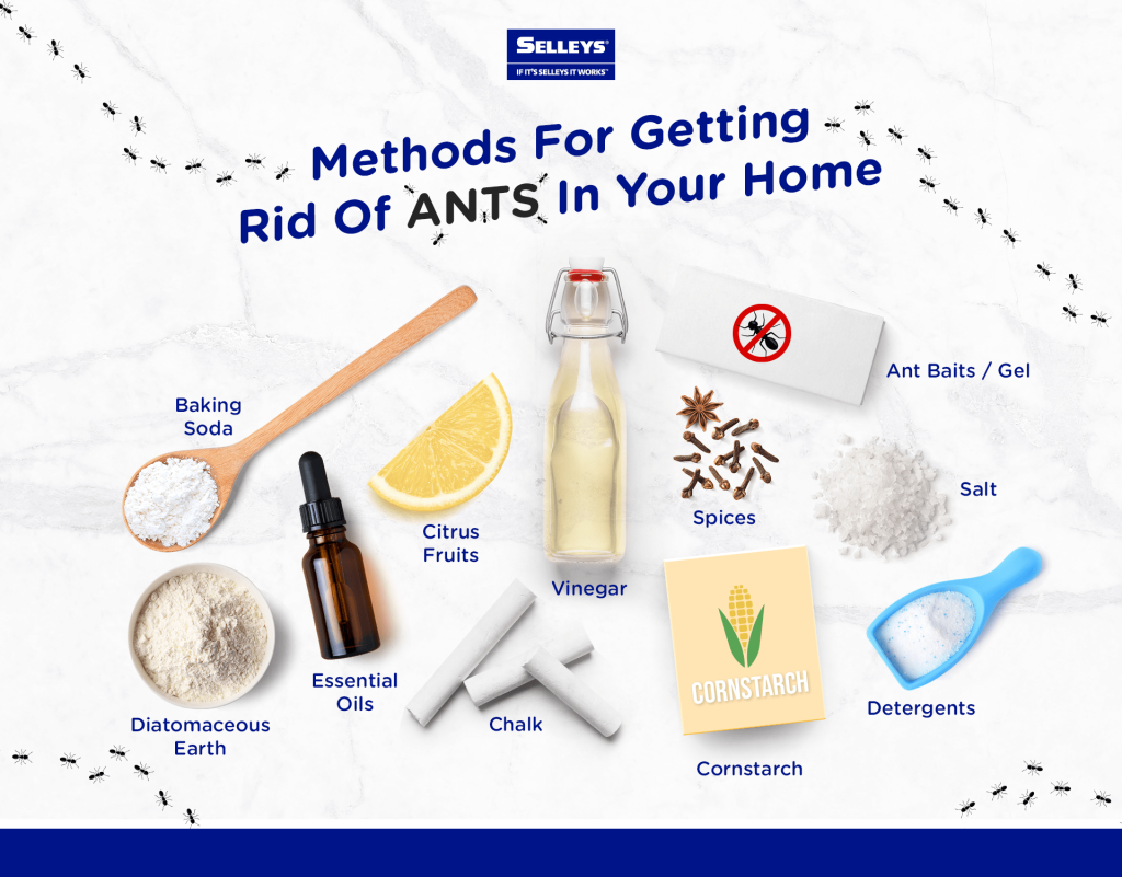 How To Get Rid Of Ants: 11 Easy & Effective Methods [+ FAQs]