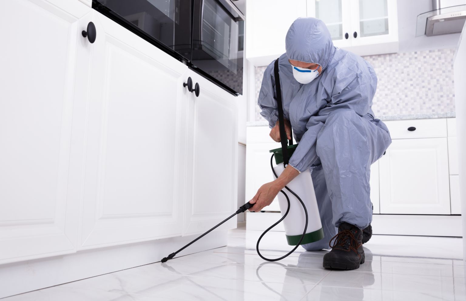 What Are Silverfish: Signs & How To Get Rid Of Them [+ FAQs]