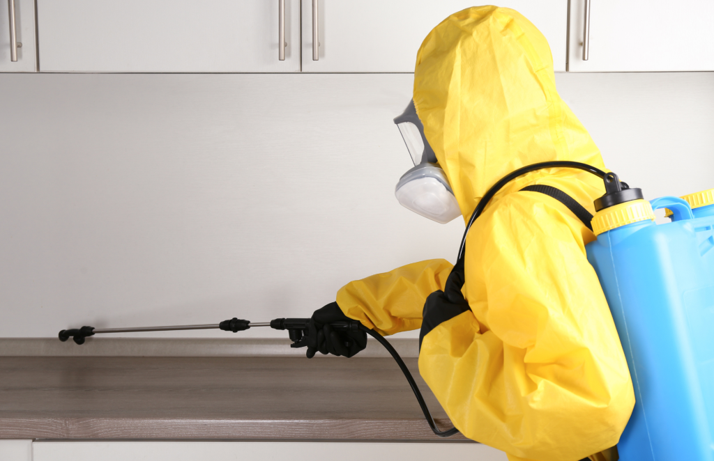 How To Get Rid Of Cockroaches: 5 Effective Methods [+ FAQs]