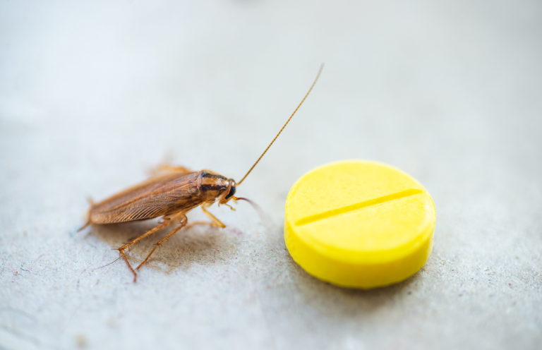 How To Get Rid Of Cockroaches: 5 Effective Methods [+ FAQs]
