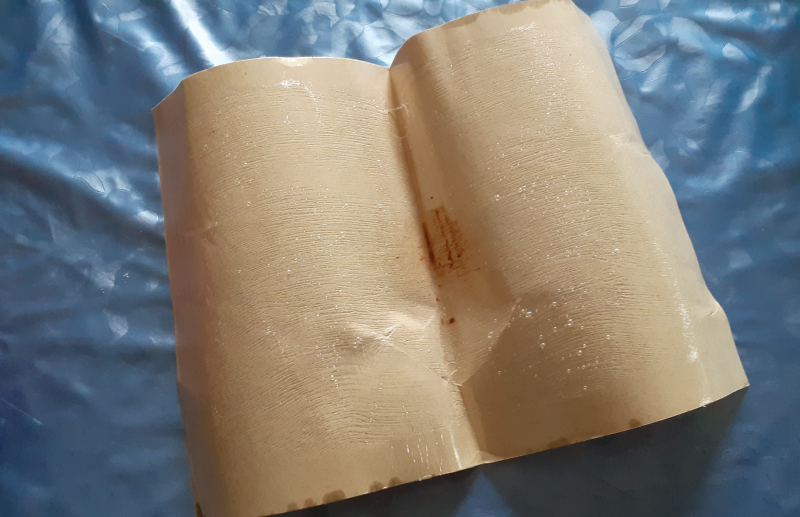 What Are Silverfish: Signs & How To Get Rid Of Them [+ FAQs]